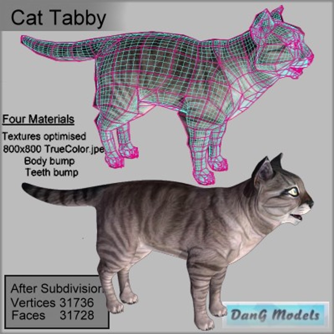 Tabby Cat 3d Model