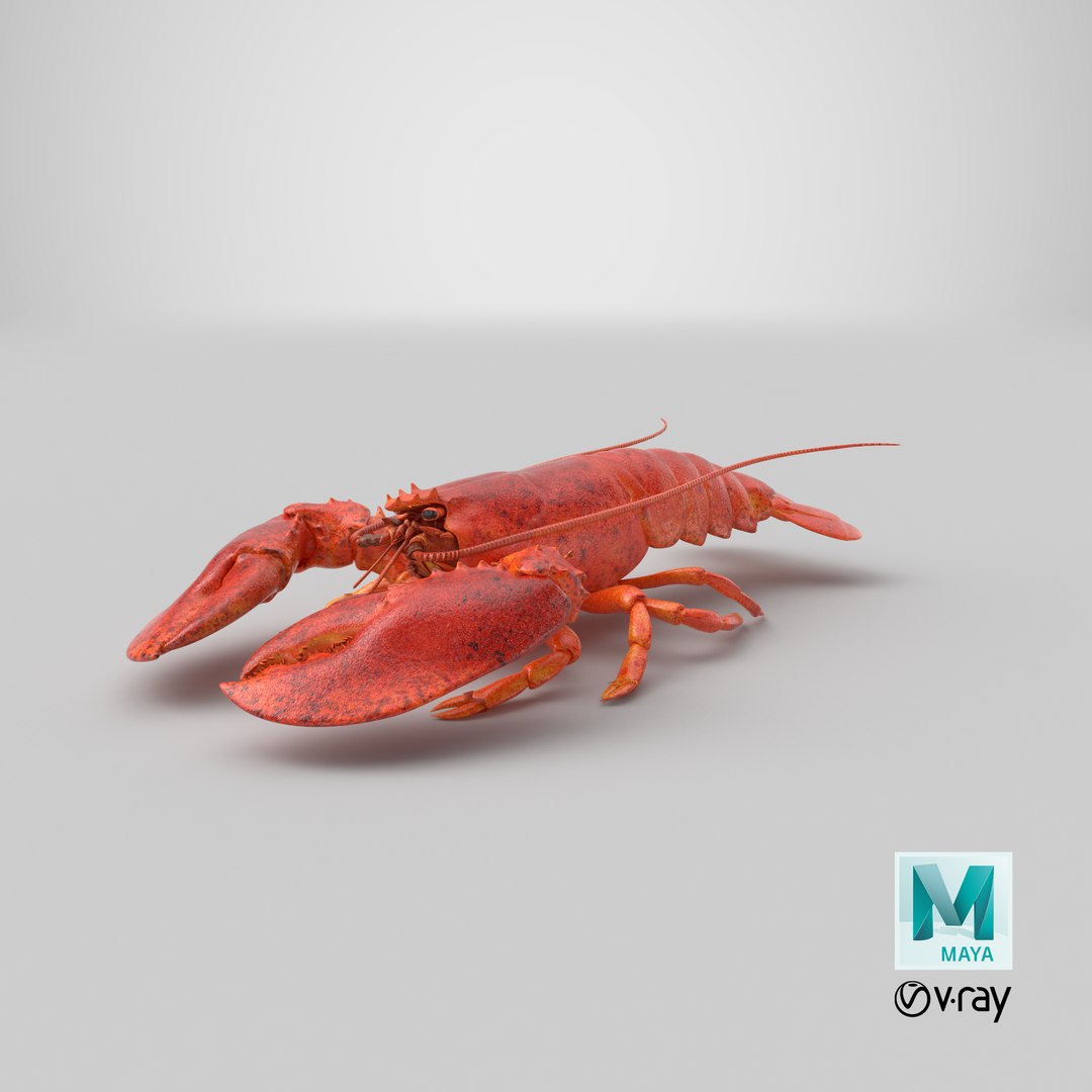 3D model Red Lobster - TurboSquid 2075111