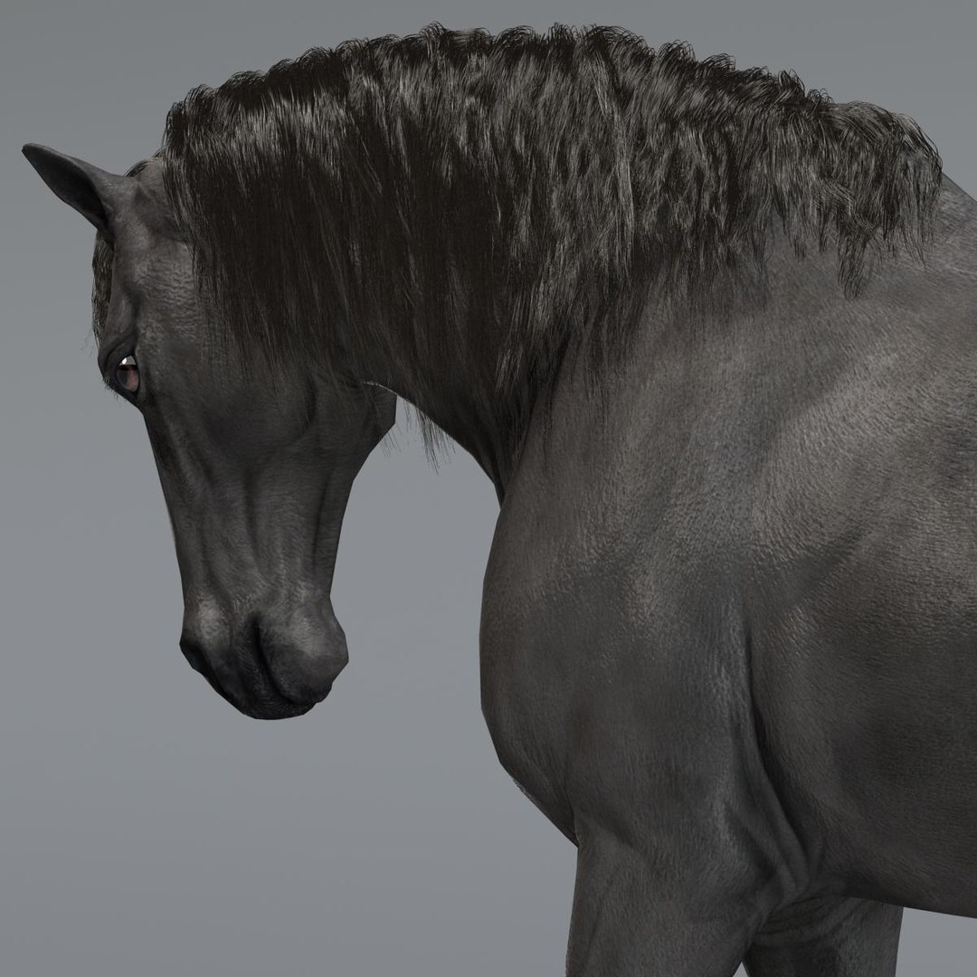 Realistic horse rigged 3D model - TurboSquid 1269247