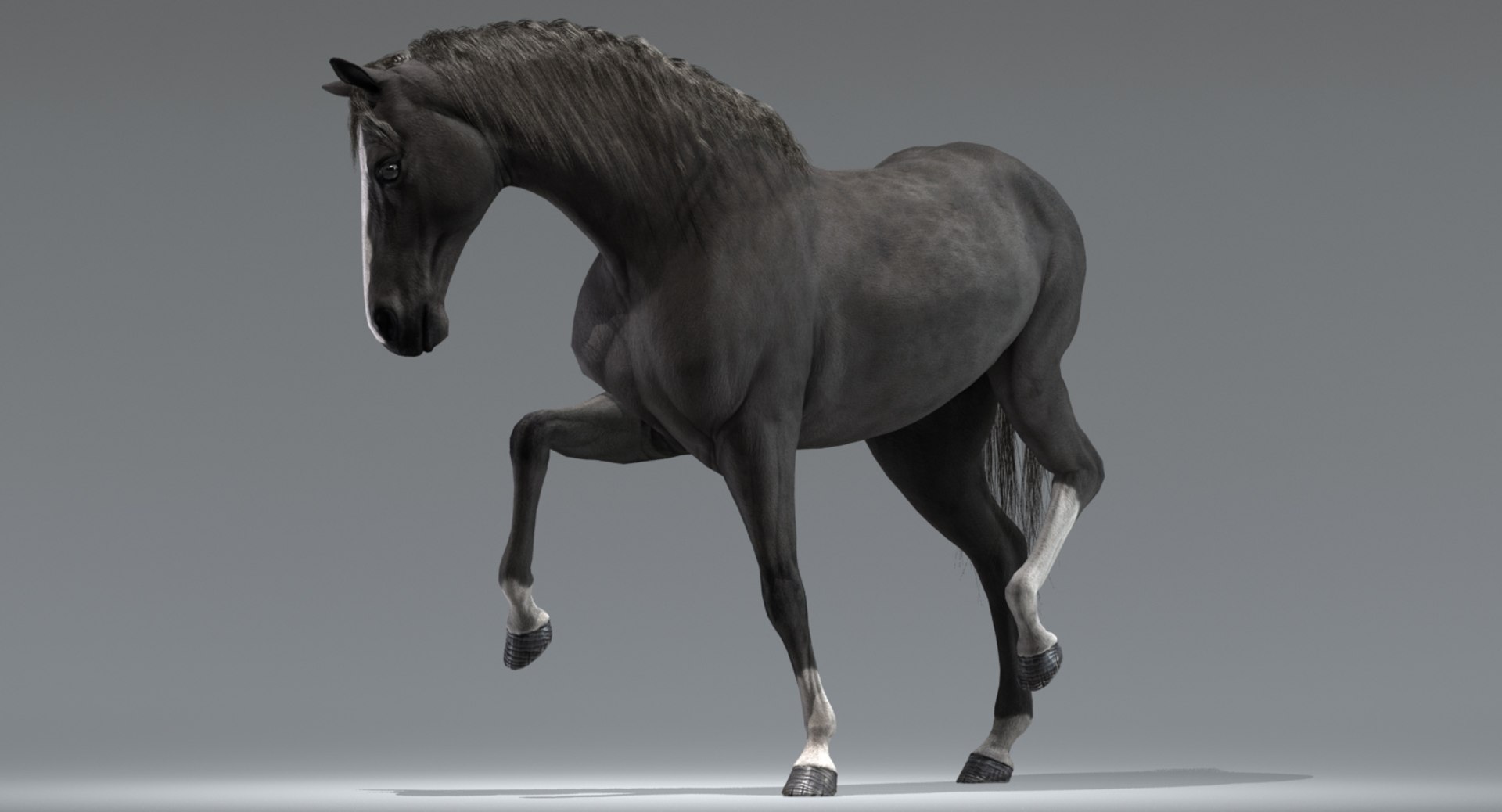 Realistic horse rigged 3D model - TurboSquid 1269247