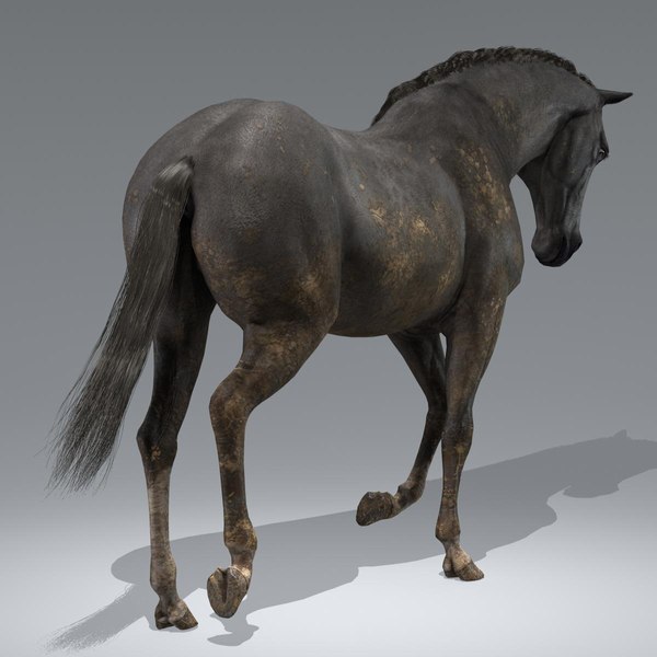 Realistic horse rigged 3D model - TurboSquid 1269247