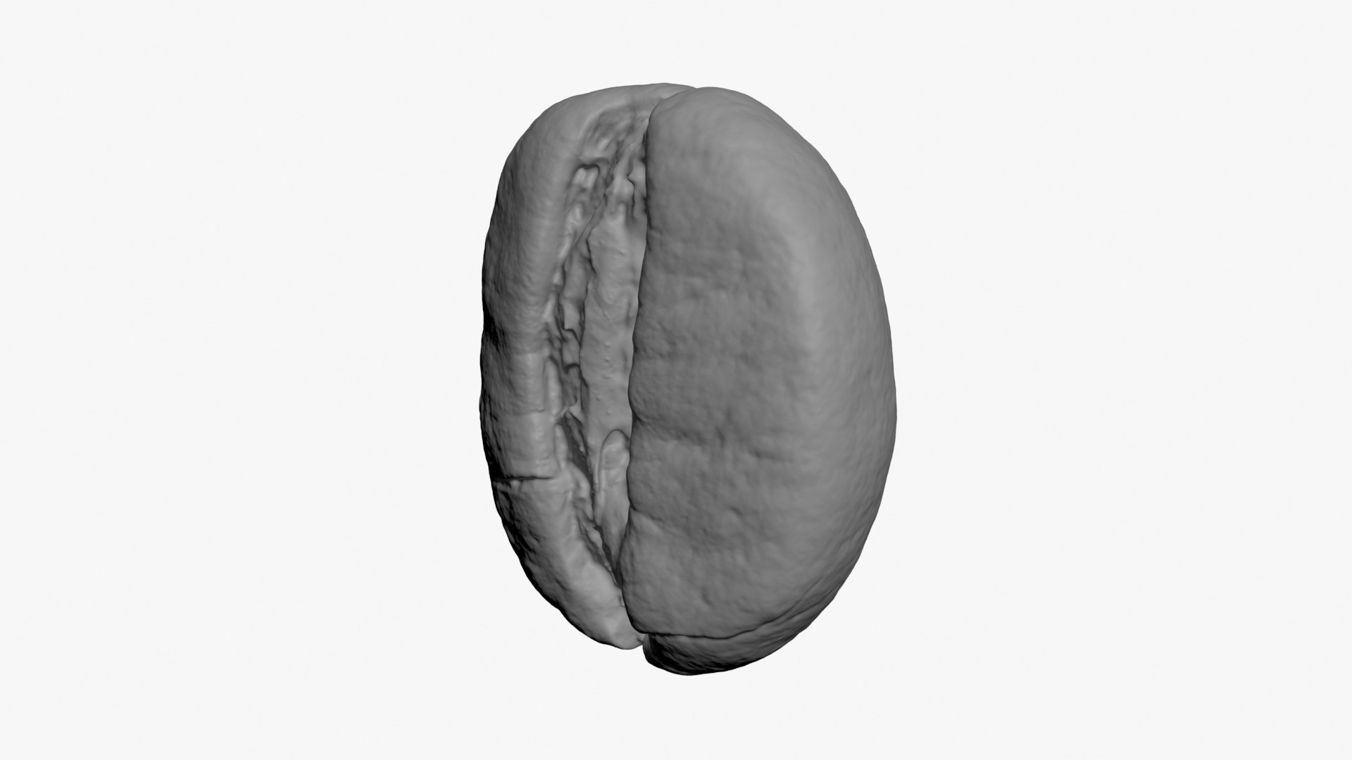 3D Coffee Bean 01 3D Print - TurboSquid 2280864