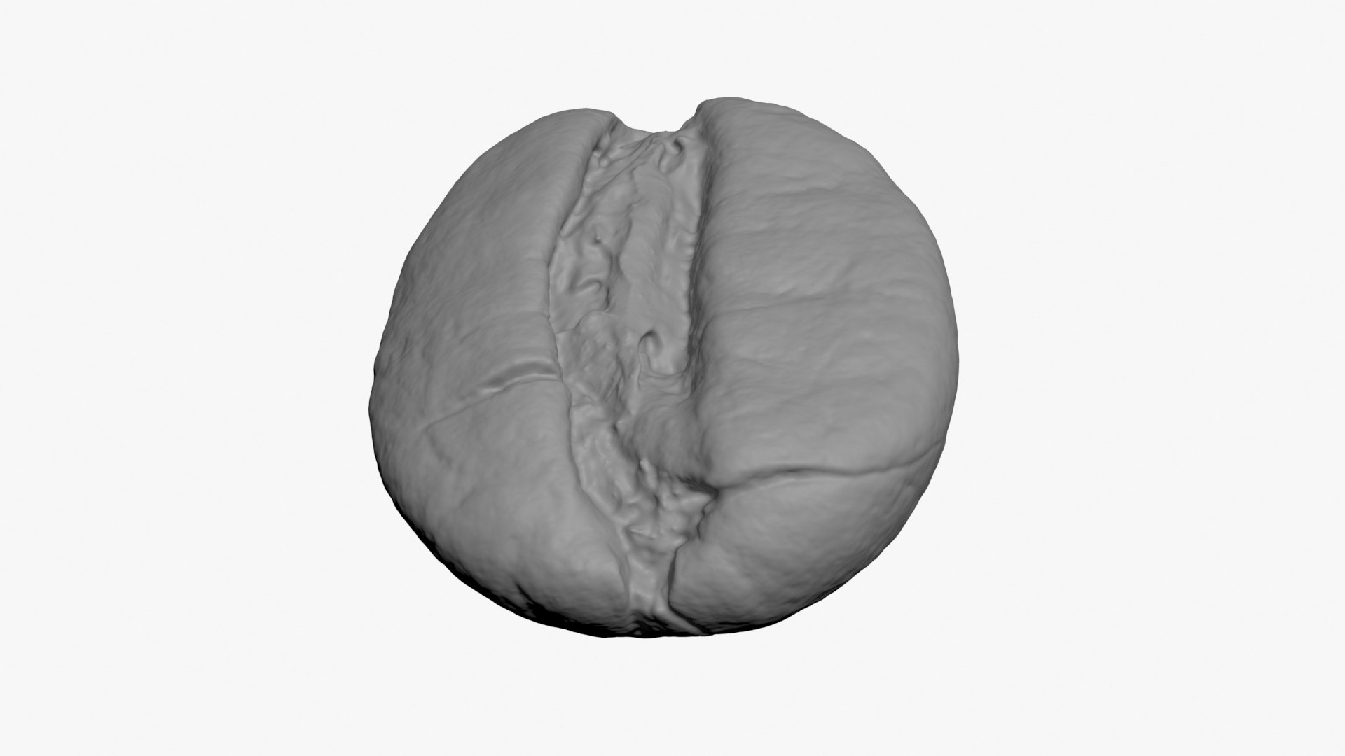 3D Coffee Bean 01 3D Print - TurboSquid 2280864