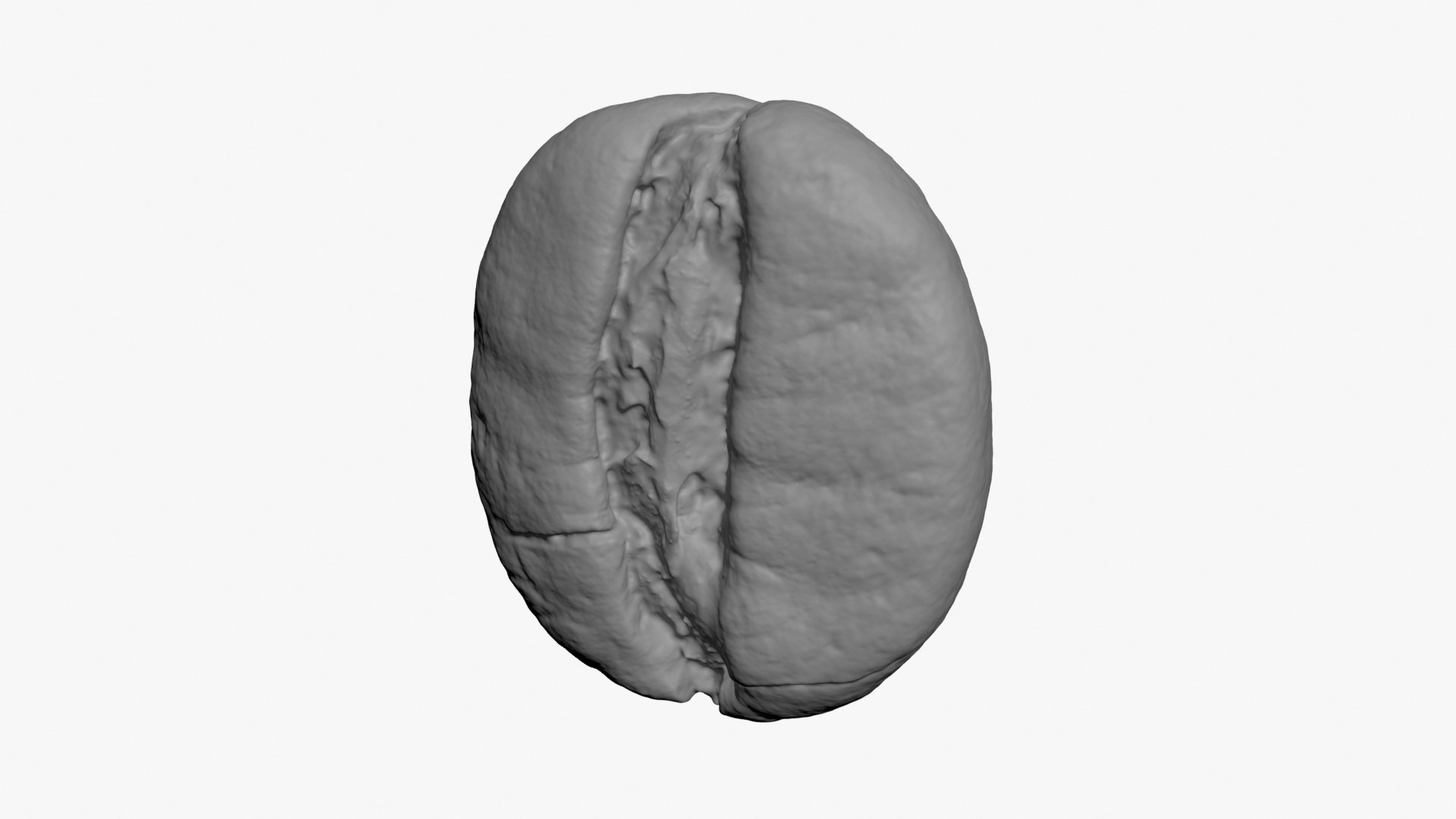 3D Coffee Bean 01 3D Print - TurboSquid 2280864