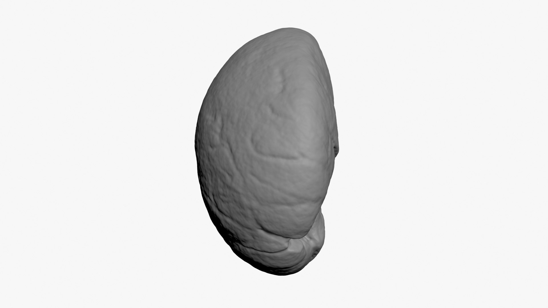 3D Coffee Bean 01 3D Print - TurboSquid 2280864