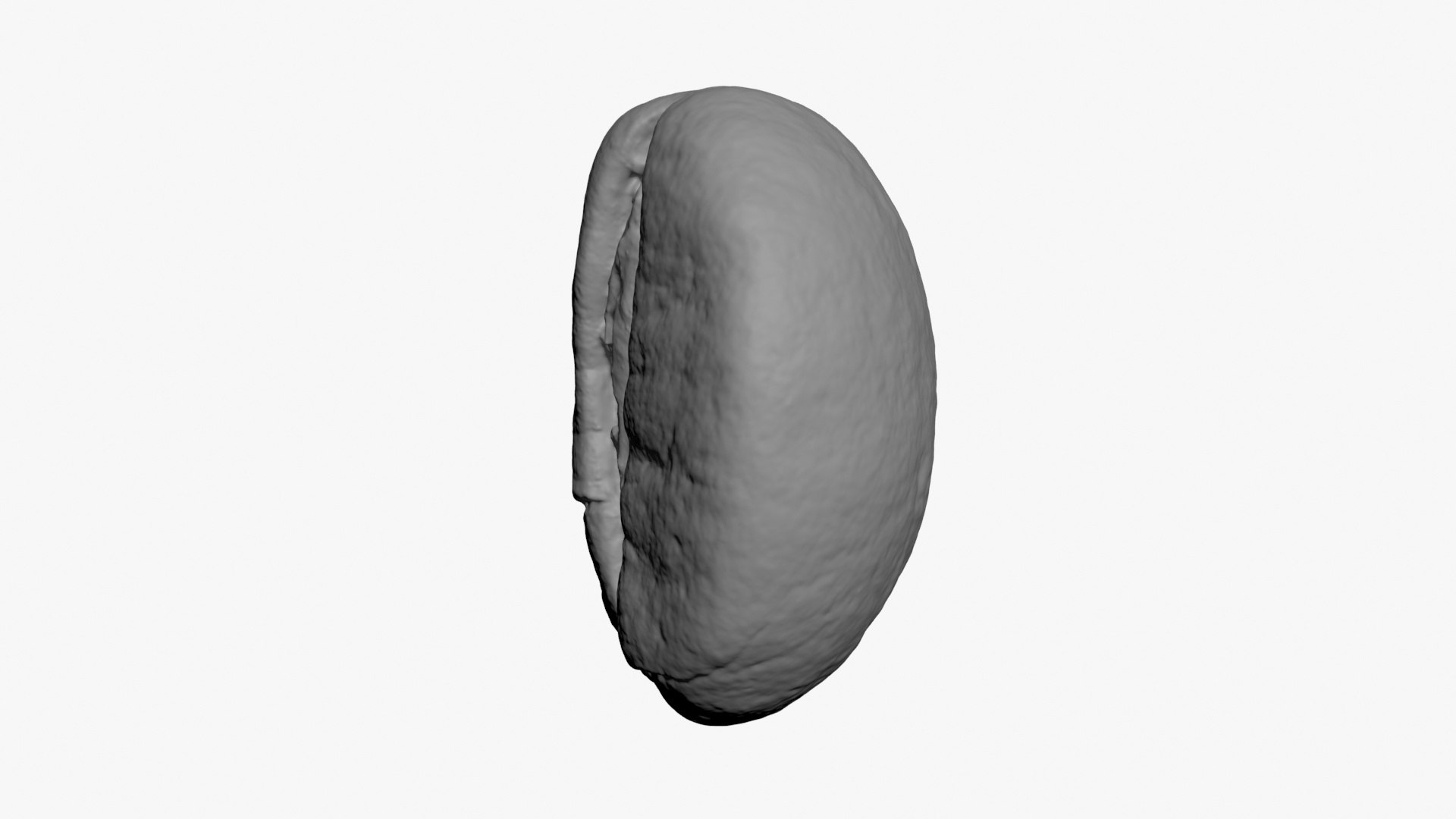 3D Coffee Bean 01 3D Print - TurboSquid 2280864