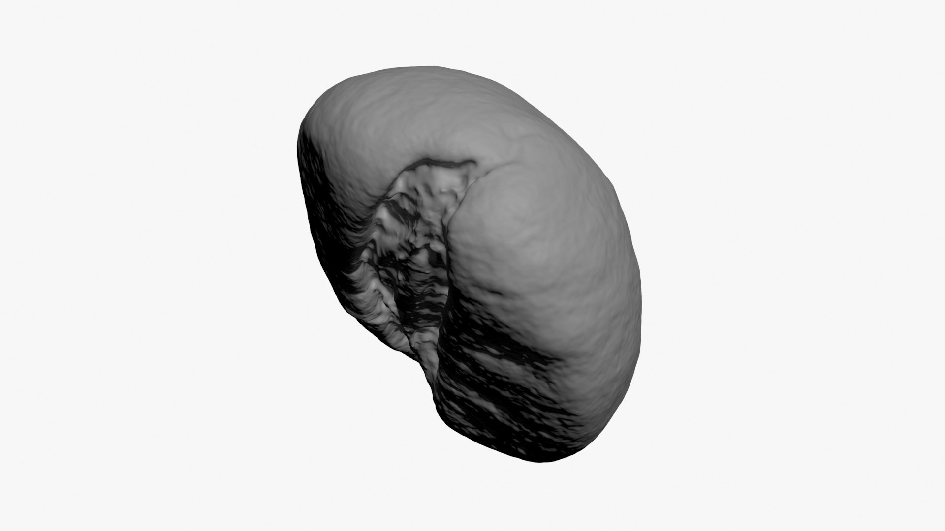 3D Coffee Bean 01 3D Print - TurboSquid 2280864