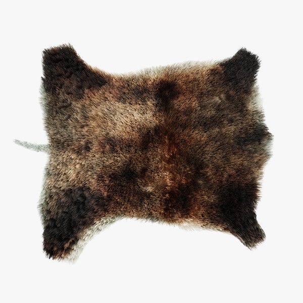 Boar skin fur 3D model - TurboSquid 1365312