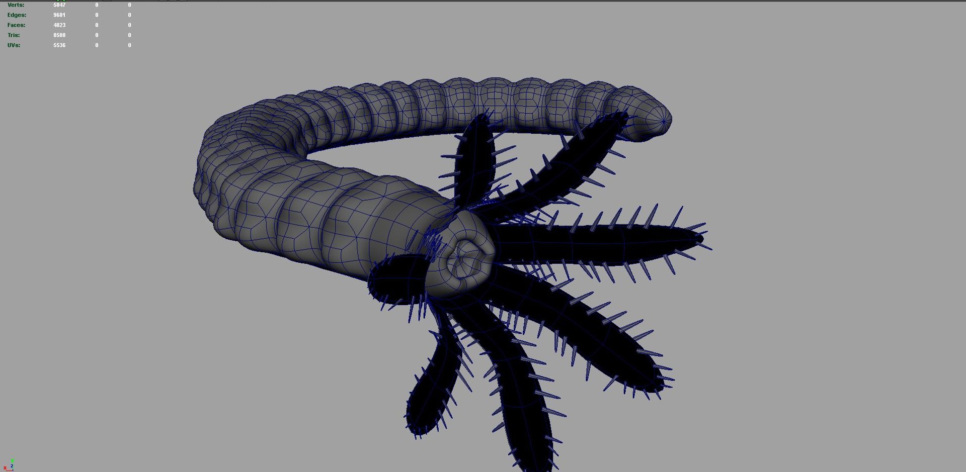 3d Sea Cucumber