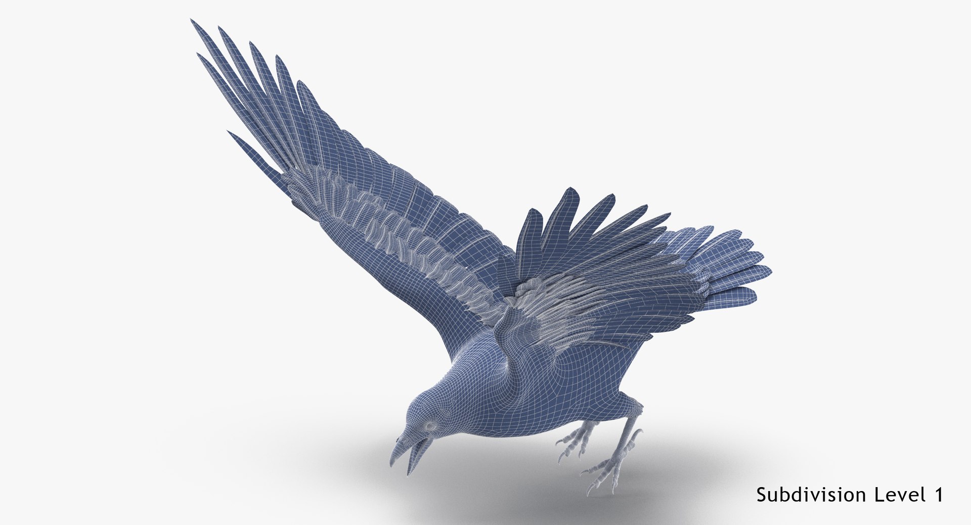 3d model crow 02