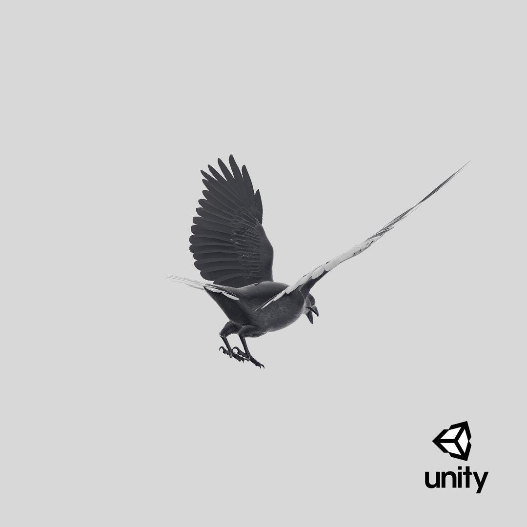 3d model crow 02