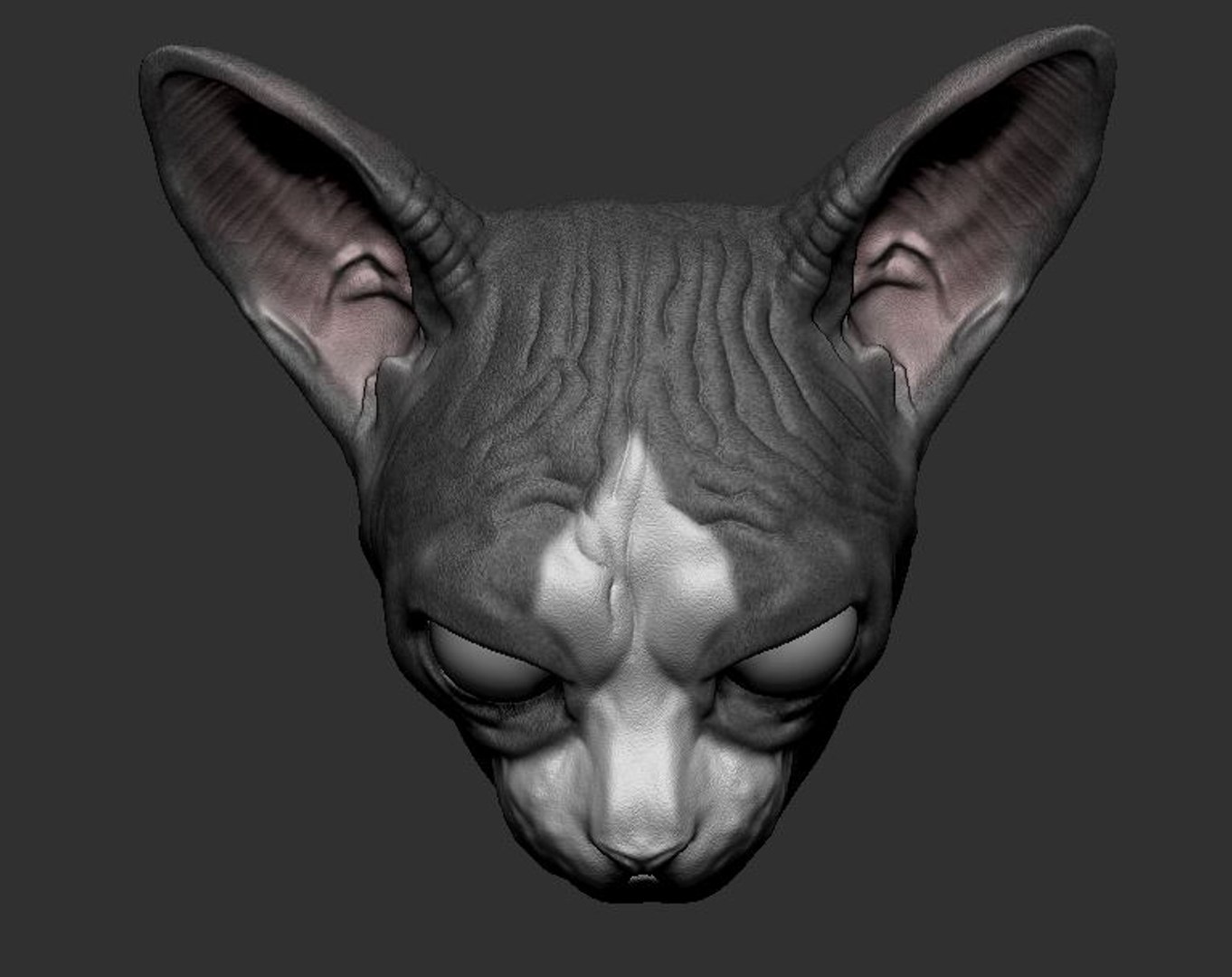 Sphynx Cat 3D Model - TurboSquid 1517182