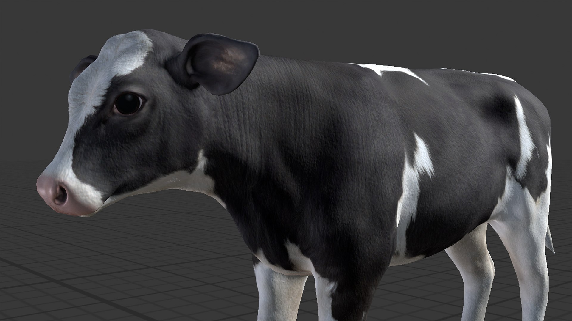 3D Calf Model - TurboSquid 1937940