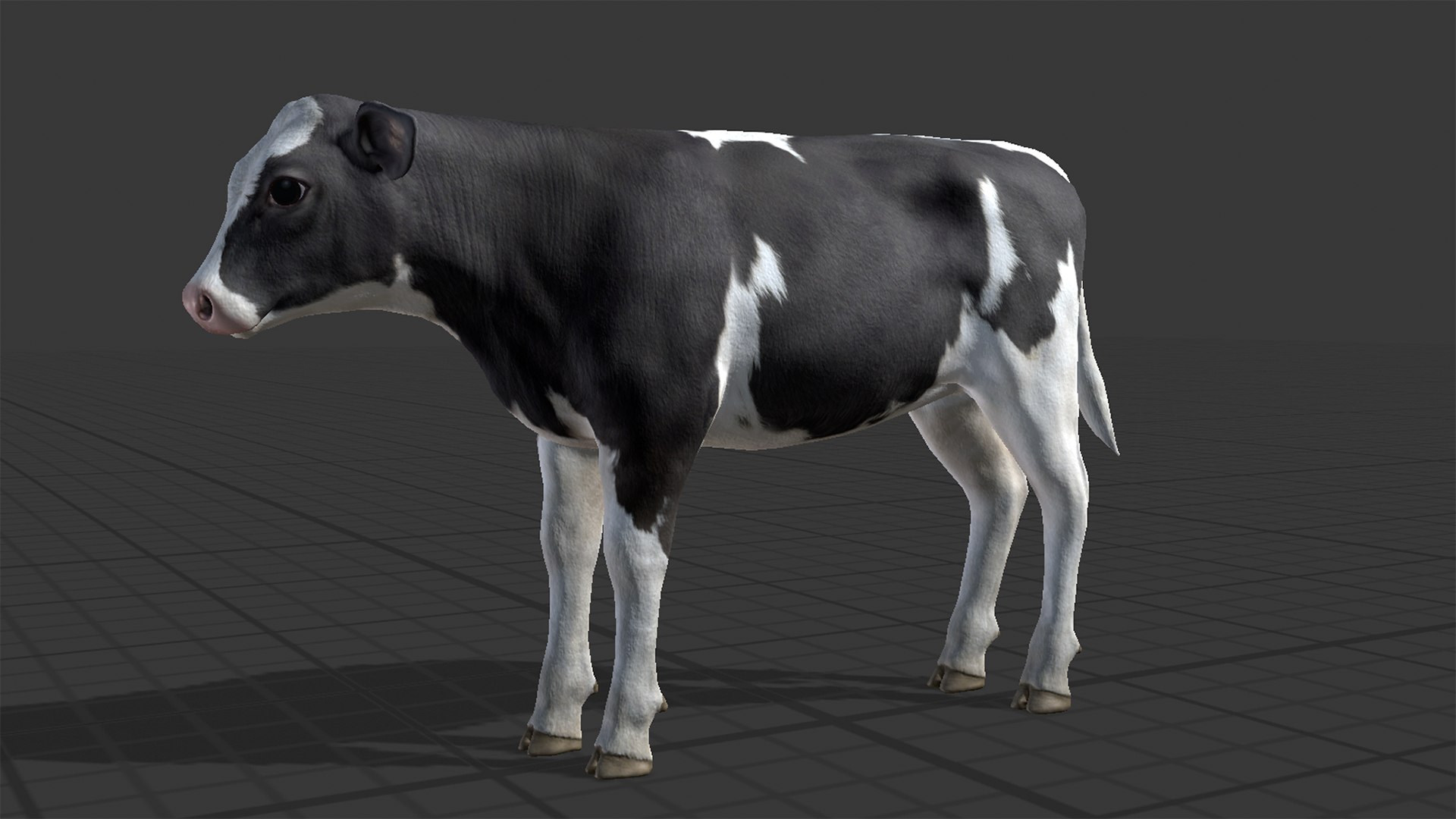 3D Calf Model - TurboSquid 1937940