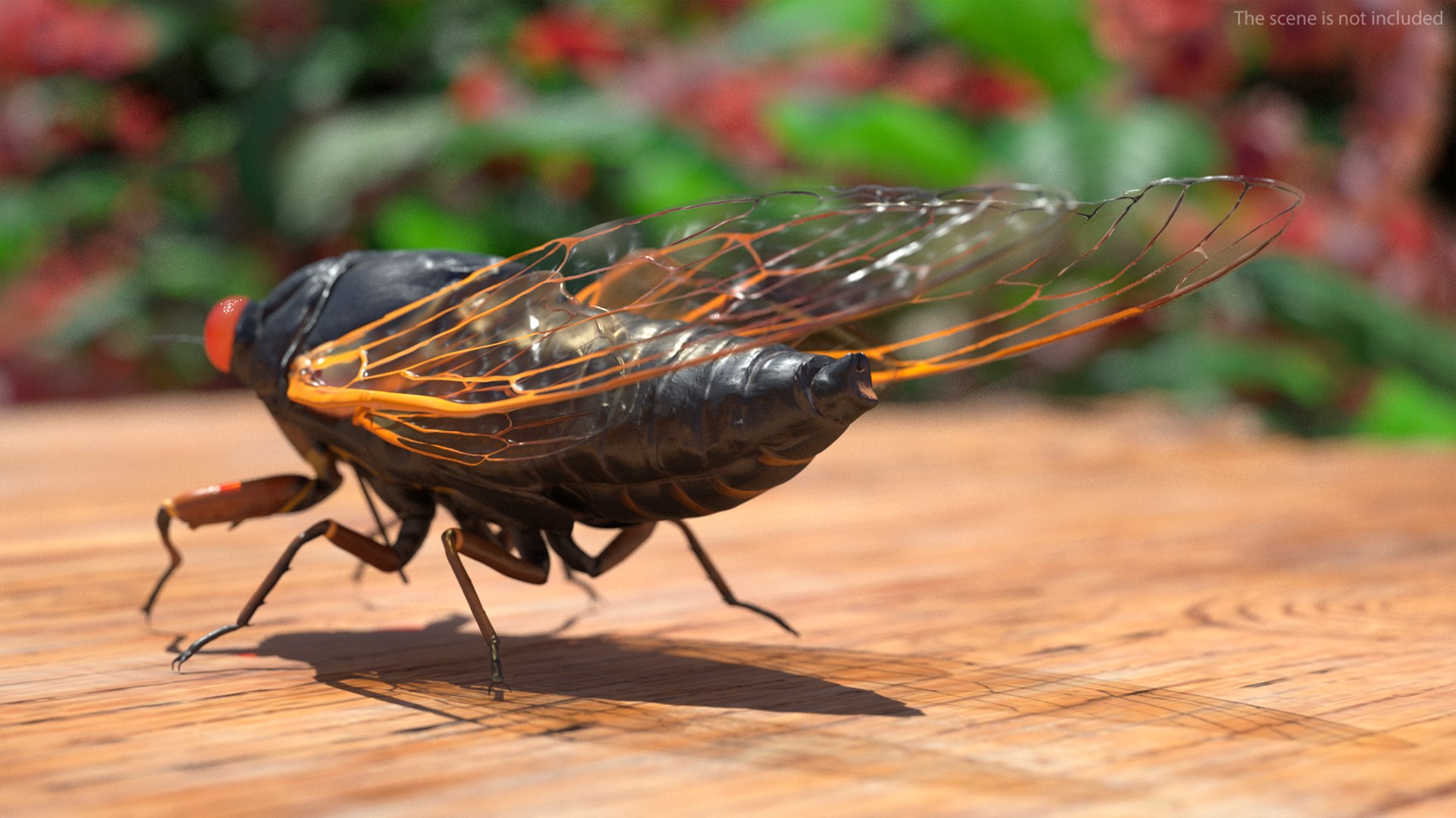 3D Magicicada Septendecim Pose Calm - TurboSquid 2051164