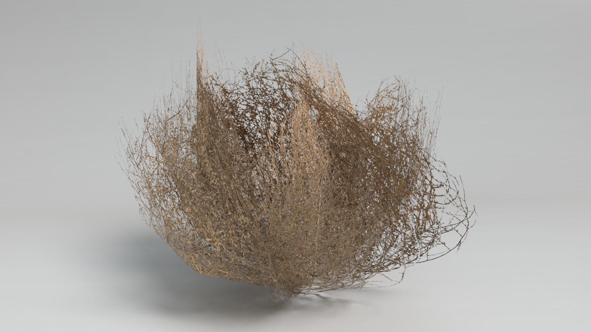 Tumbleweed Polys 3D Model - TurboSquid 1517576