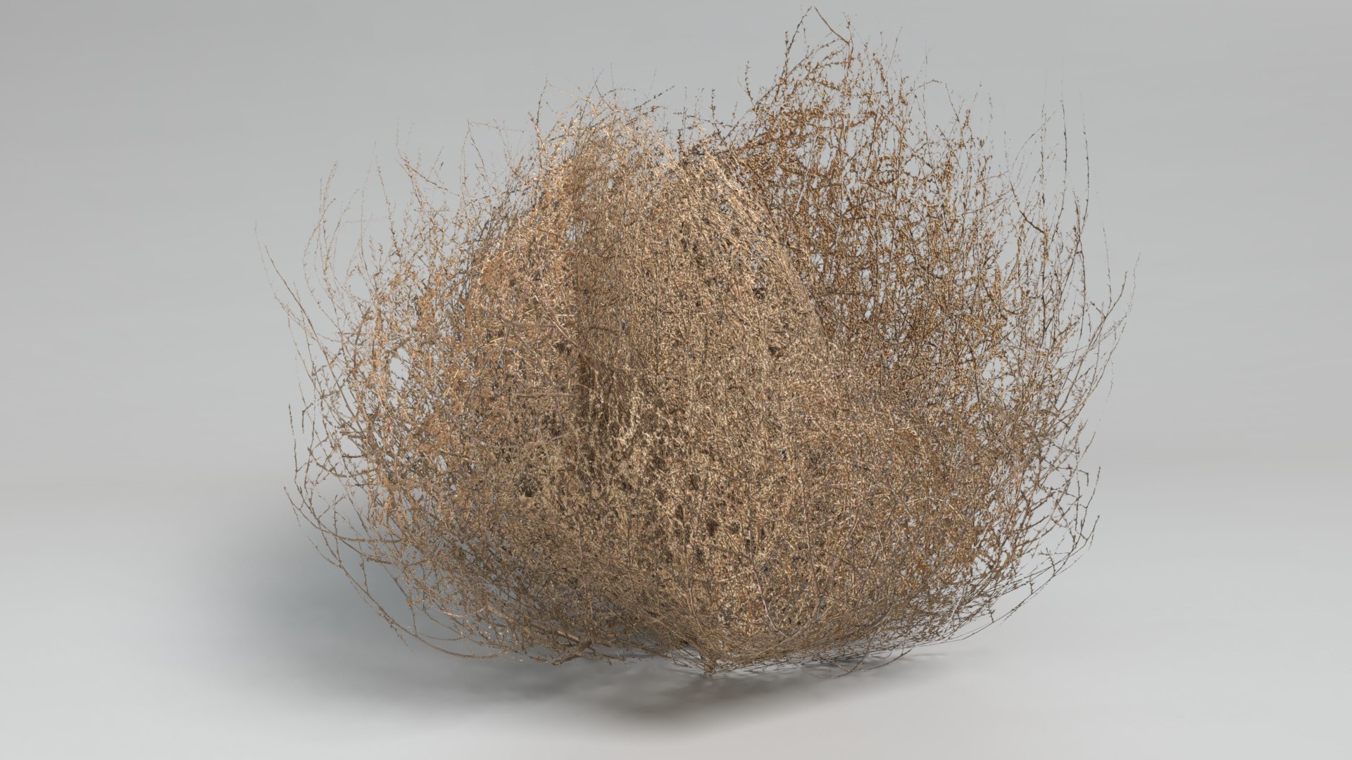 Tumbleweed Polys 3D Model - TurboSquid 1517576