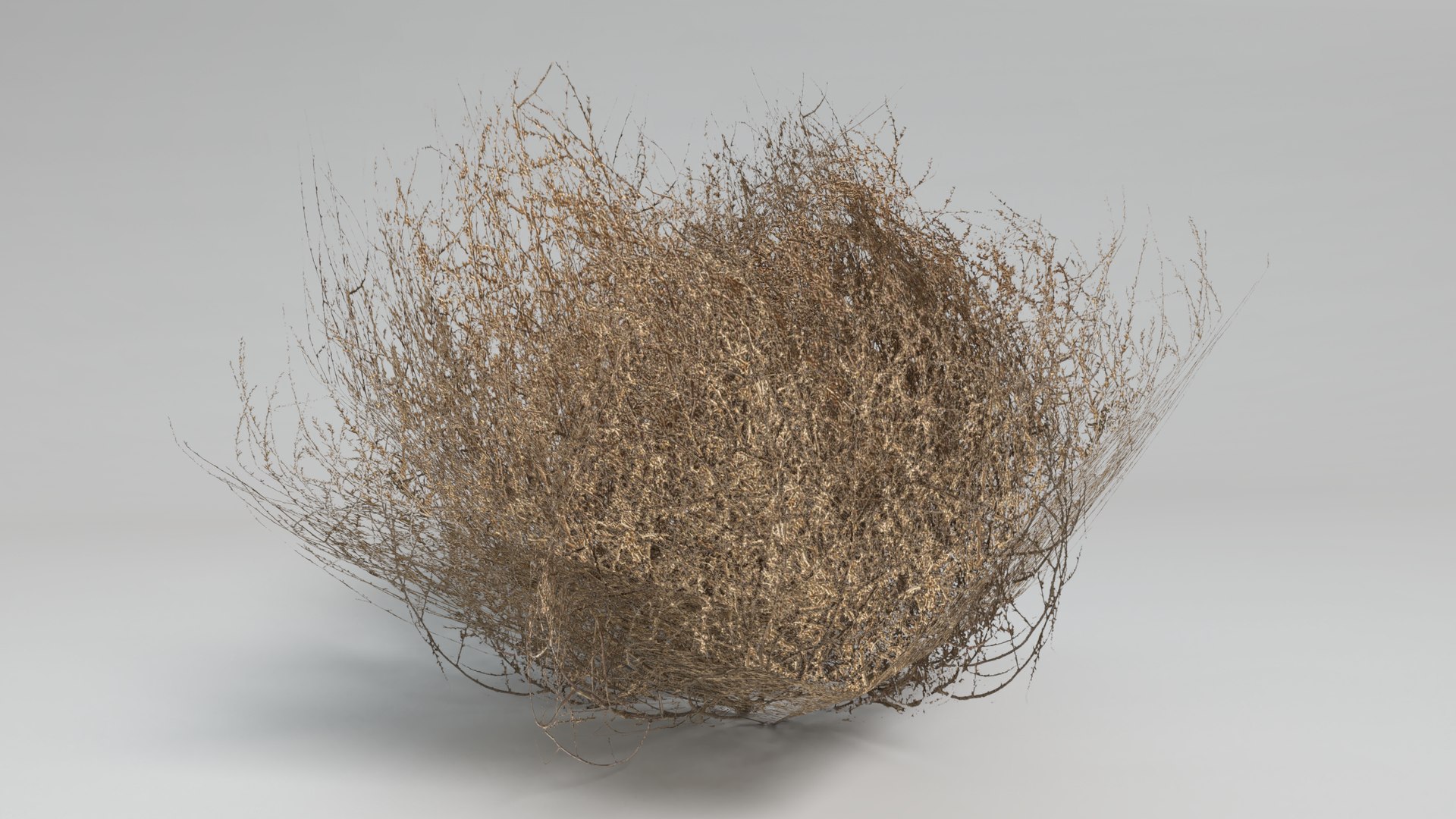 Tumbleweed Polys 3D Model - TurboSquid 1517576