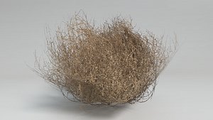3D Tumbleweed Models - Browse & Download Formats - TurboSquid