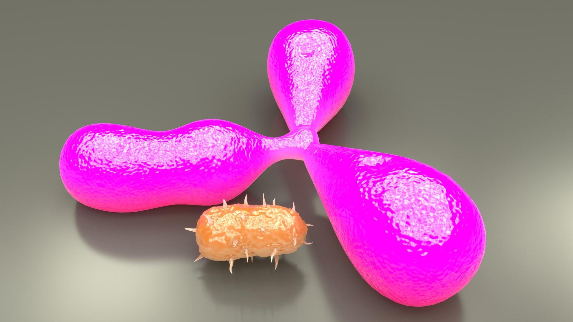 Antigen And Bacteria 3D - TurboSquid 2209596