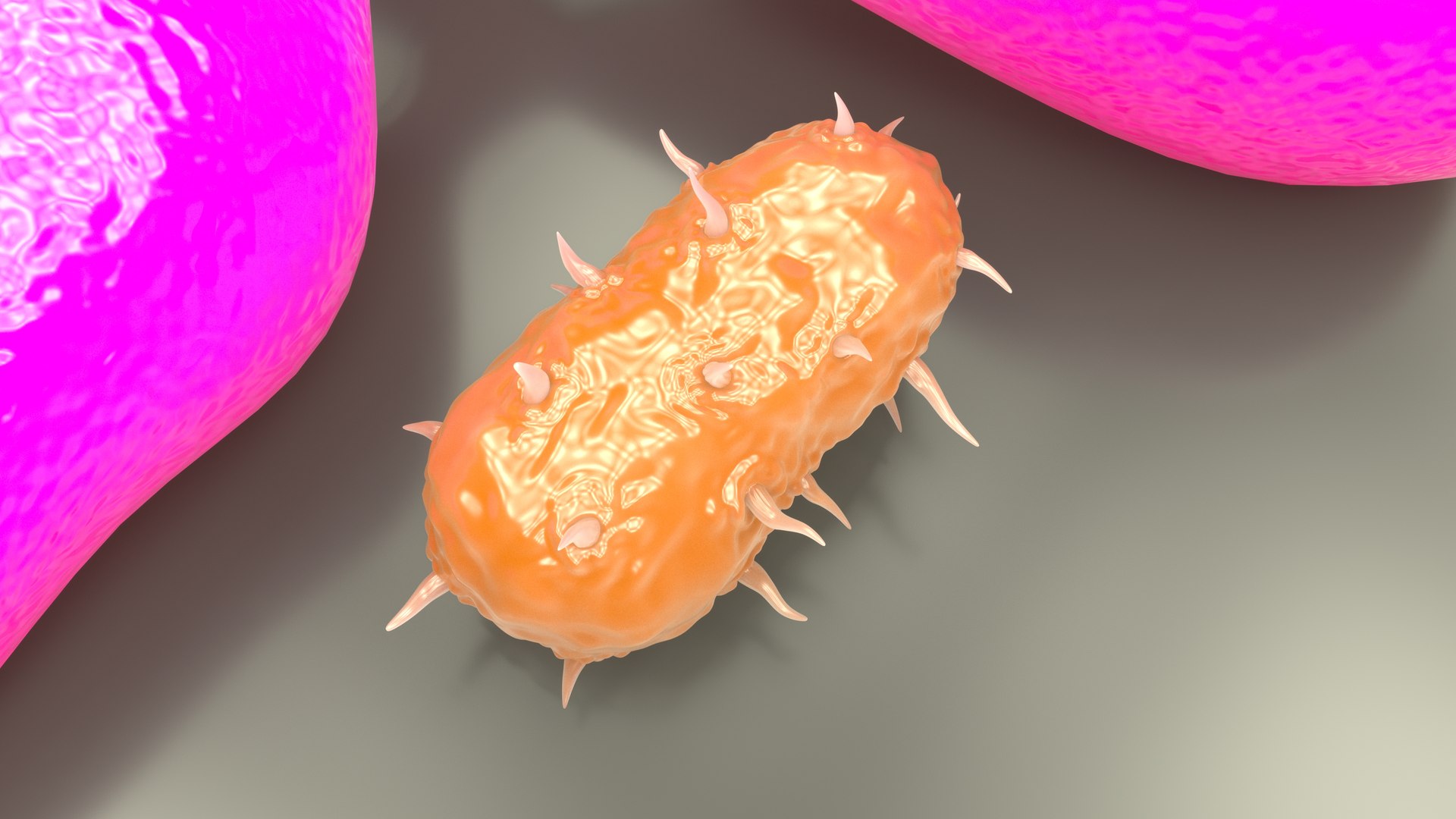 Antigen And Bacteria 3D - TurboSquid 2209596