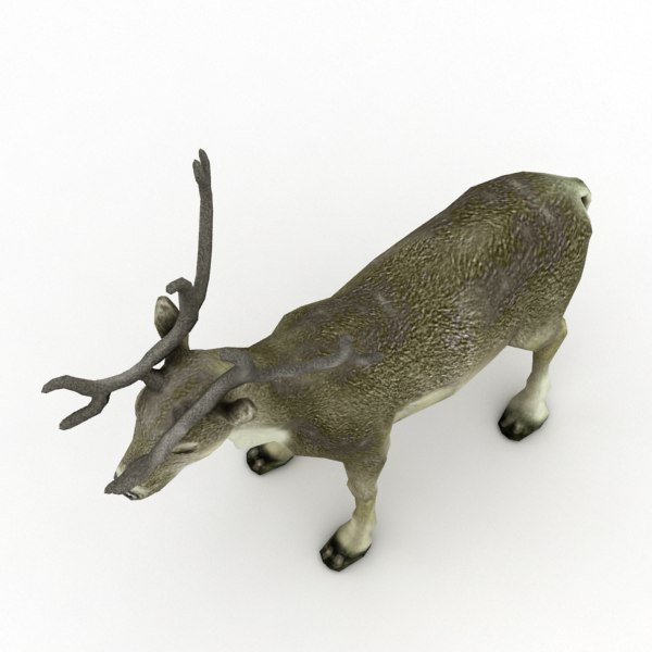 3d max reindeer animation
