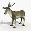 3d Max Reindeer Animation
