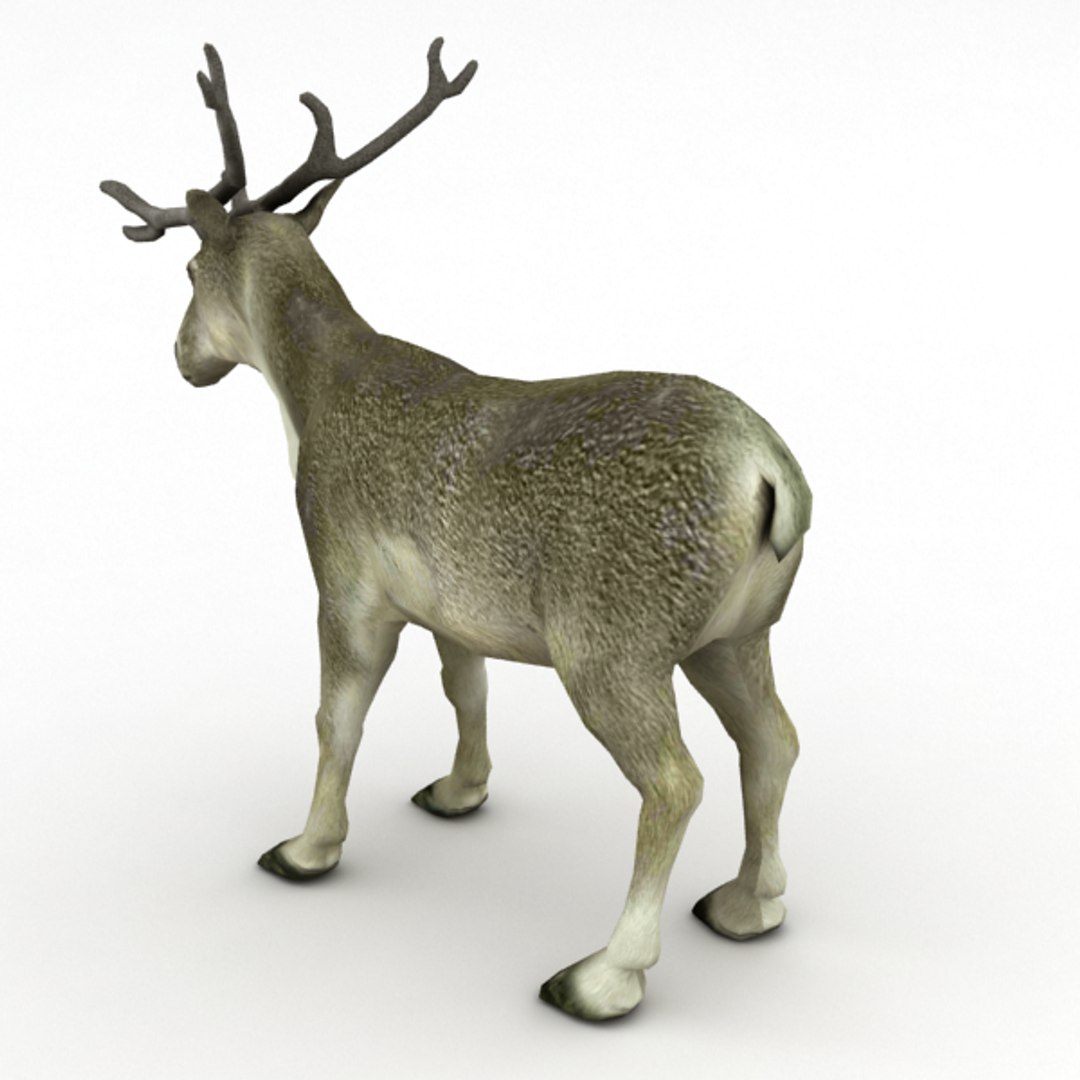 3d Max Reindeer Animation