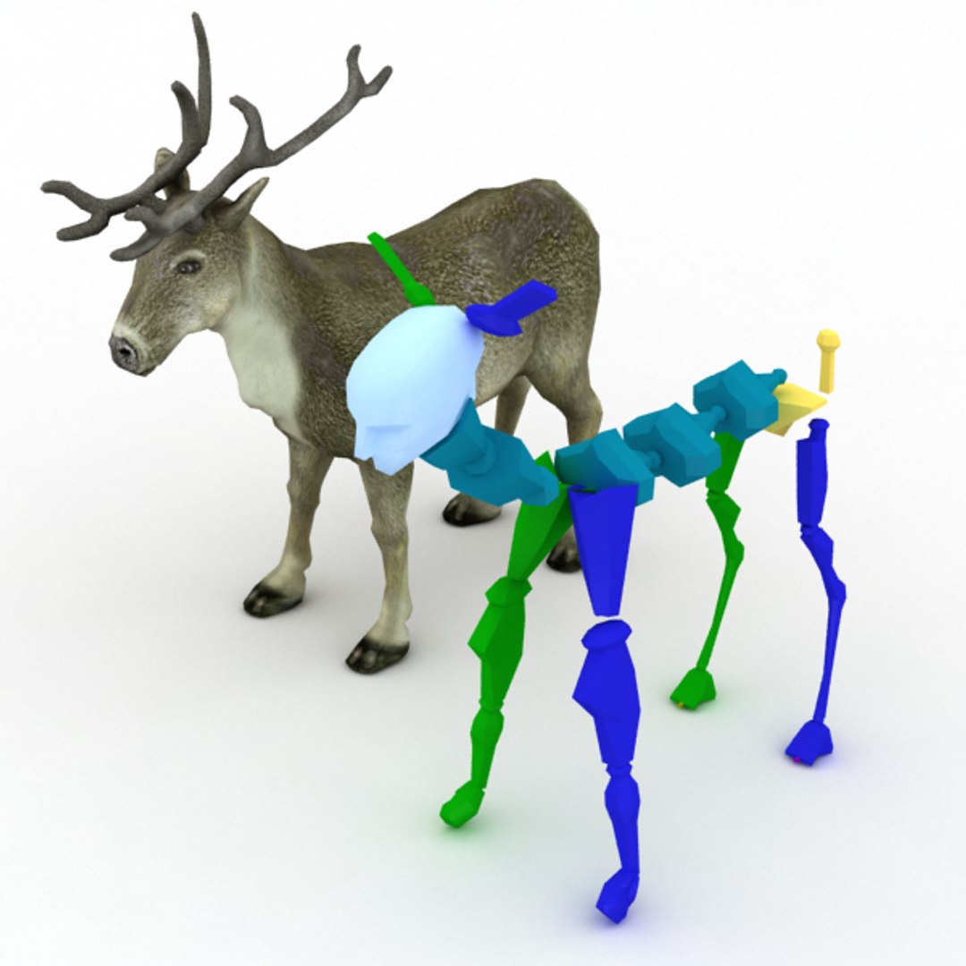 3d Max Reindeer Animation
