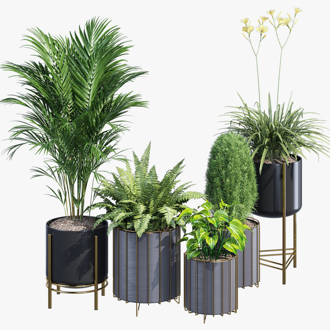 Flower garden 3D - TurboSquid 1654346