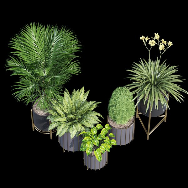 Flower garden 3D - TurboSquid 1654346