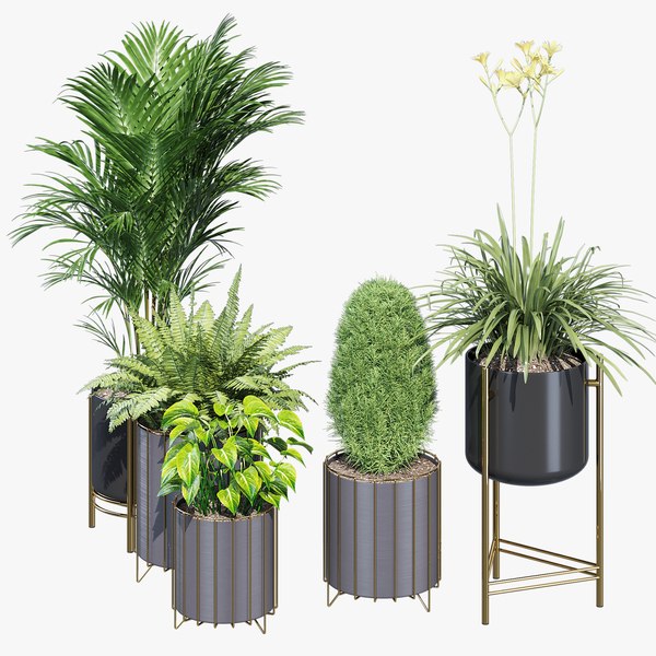 Flower garden 3D - TurboSquid 1654346