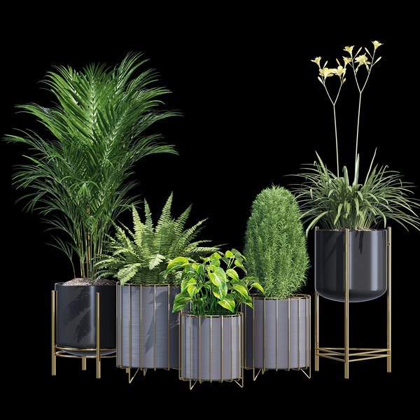 Flower garden 3D - TurboSquid 1654346