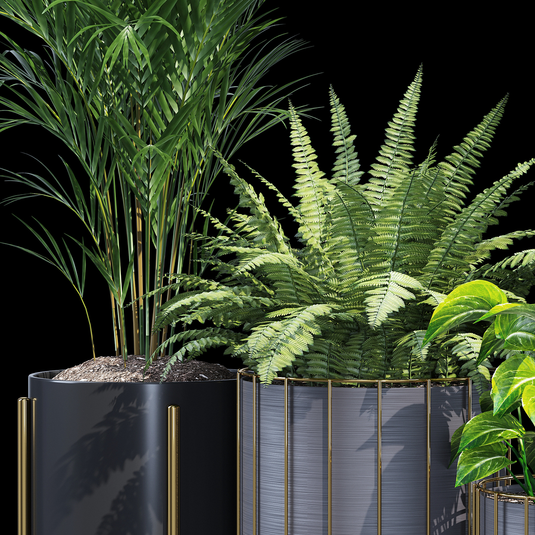 Flower garden 3D - TurboSquid 1654346