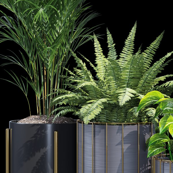 Flower garden 3D - TurboSquid 1654346