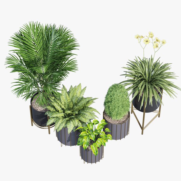 Flower garden 3D - TurboSquid 1654346