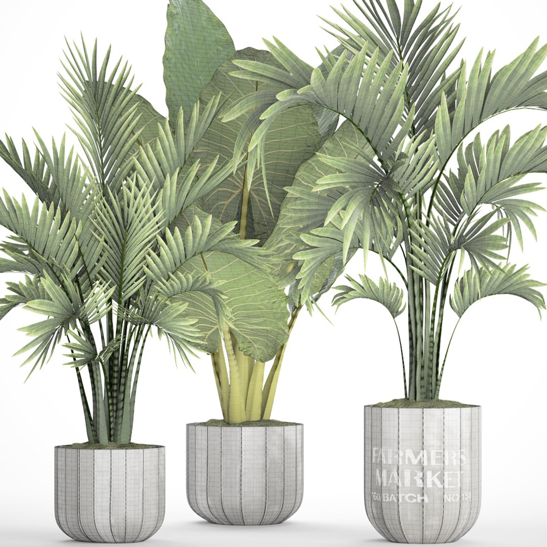 Tropical plants 3D model - TurboSquid 1198012