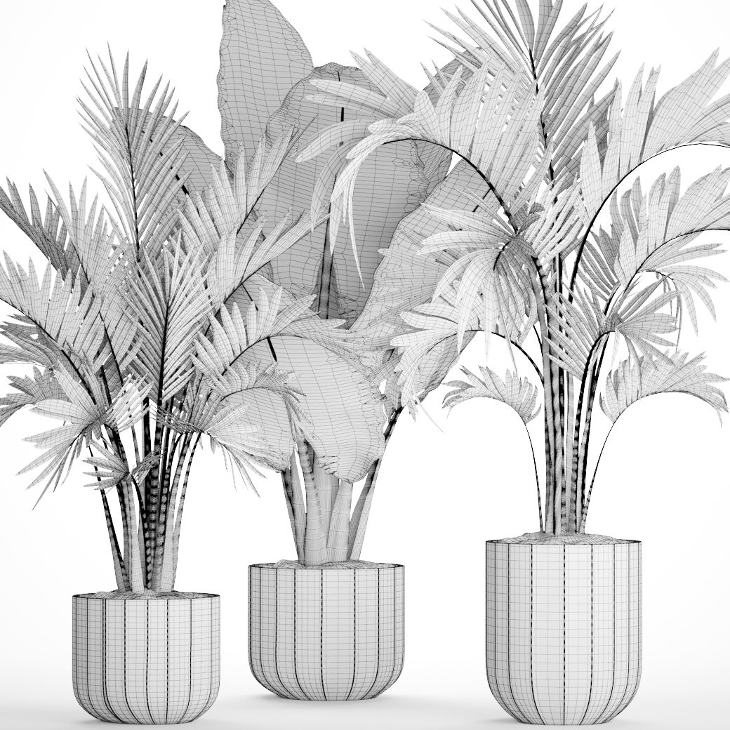 Tropical plants 3D model - TurboSquid 1198012