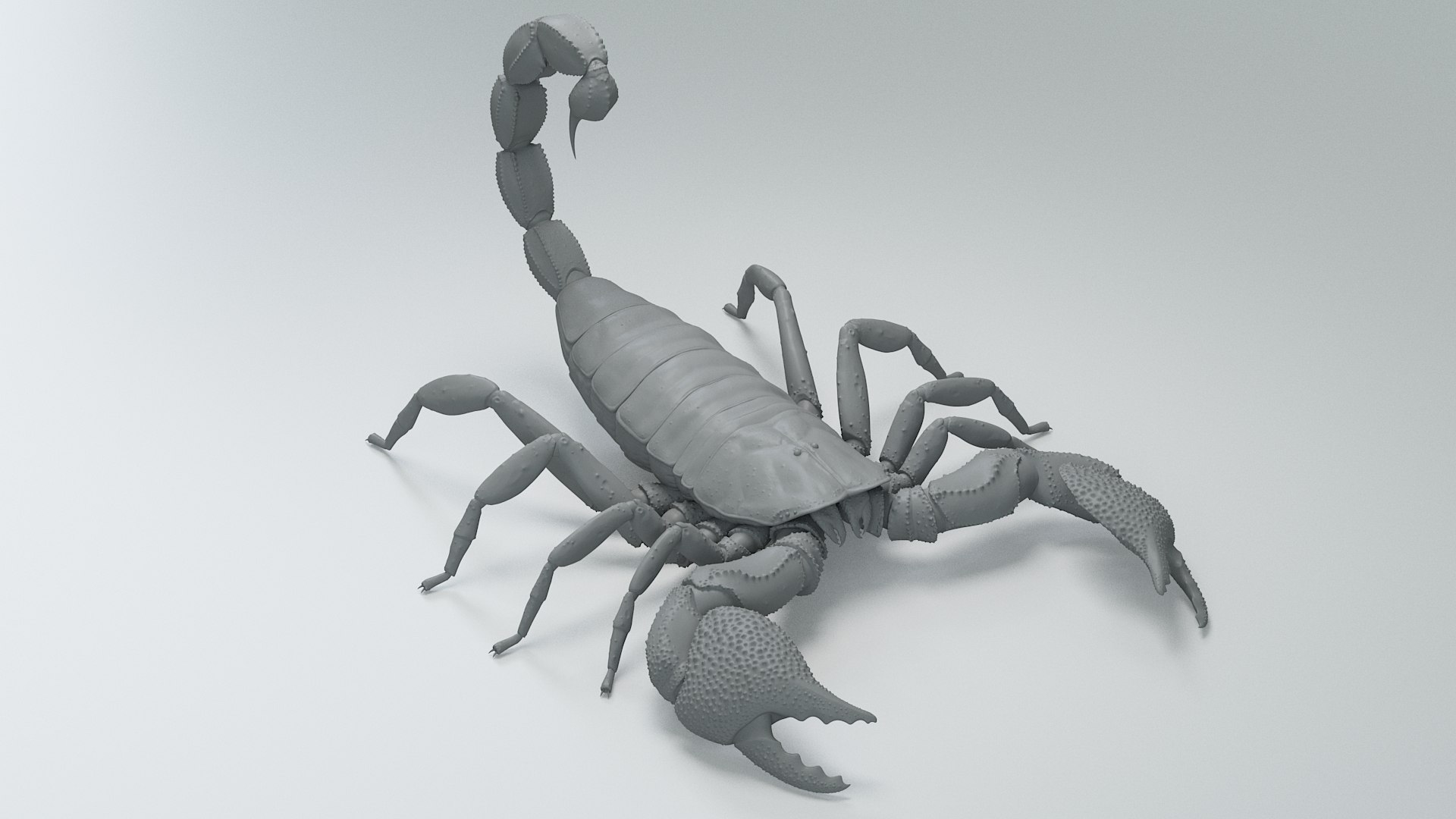 Black Emperor Scorpion 3D Model - TurboSquid 2192321