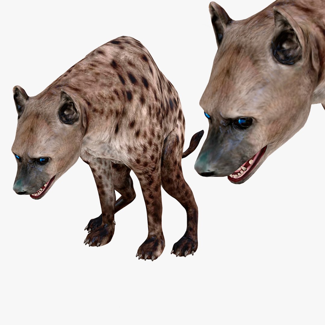 HYENA Model - TurboSquid 2381418