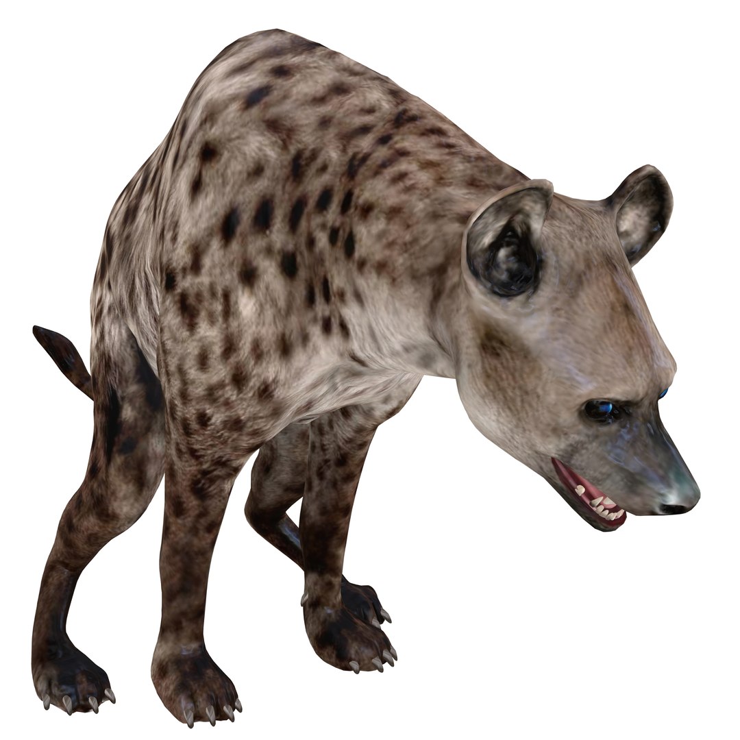 HYENA Model - TurboSquid 2381418