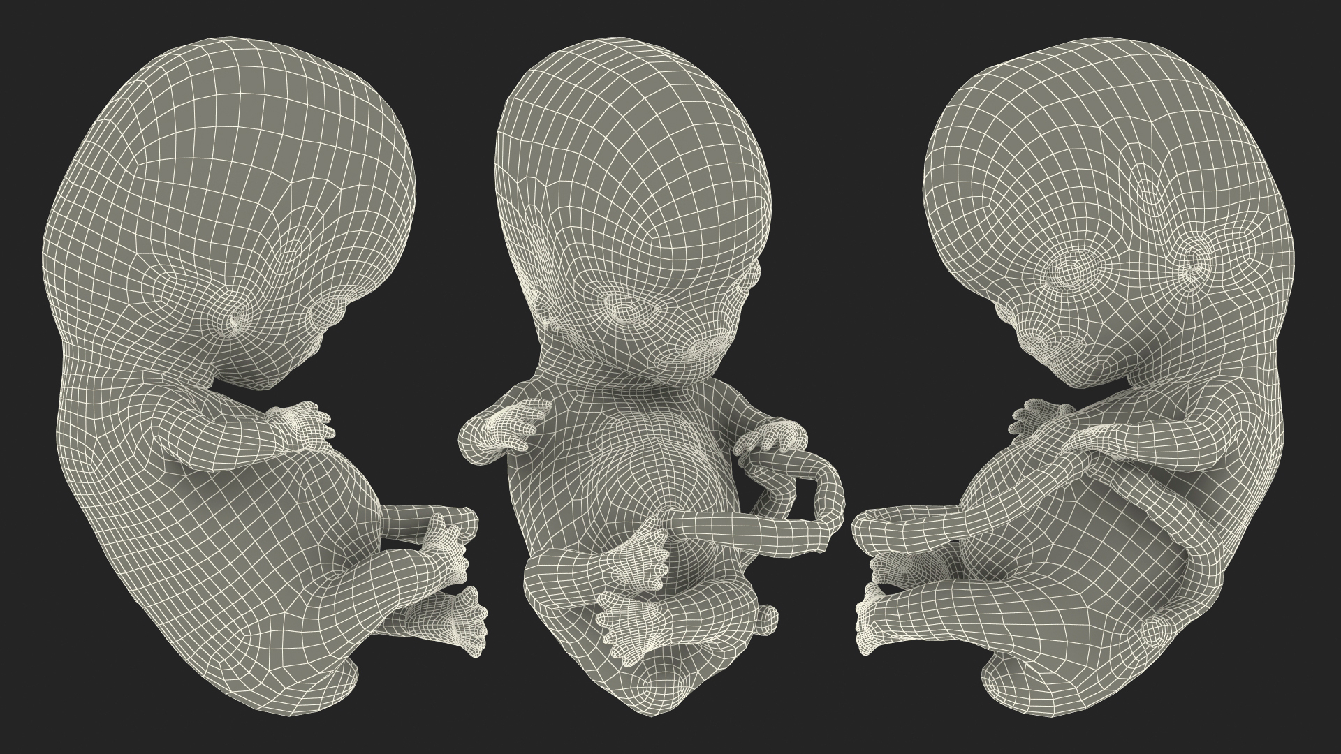First Trimester Human Embryos Rigged Collection for Modo Modelo 3D ...