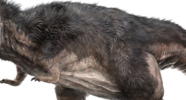 Tyrannosaurus Rex (Fell) (manipuliert) 3D-Modell - TurboSquid 1408312