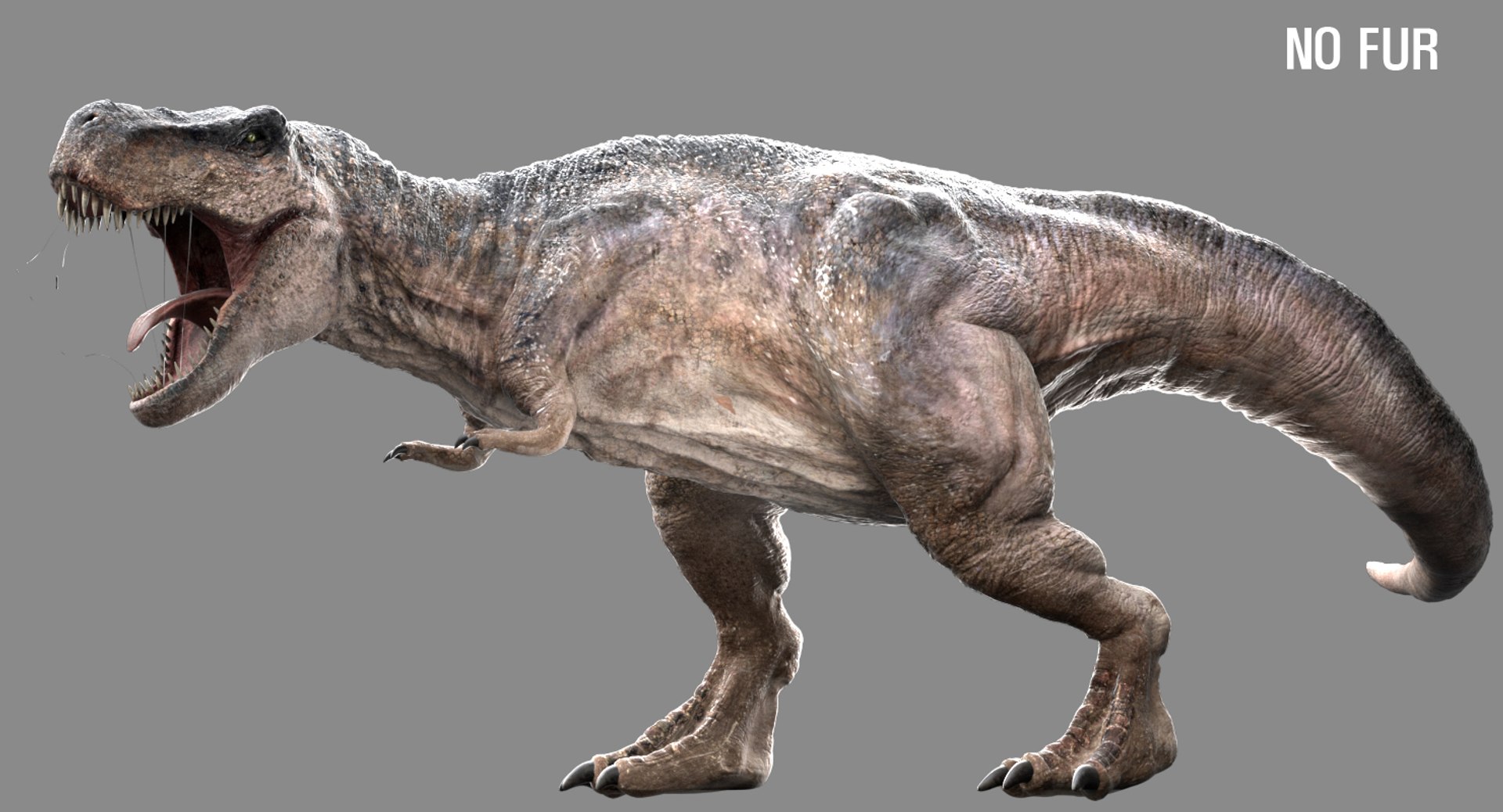 3D V-ray Rigged Rex - TurboSquid 1408312