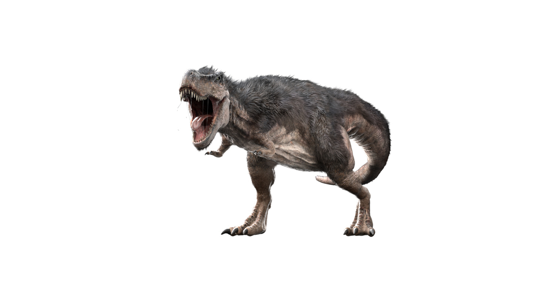 3D V-ray Rigged Rex - TurboSquid 1408312