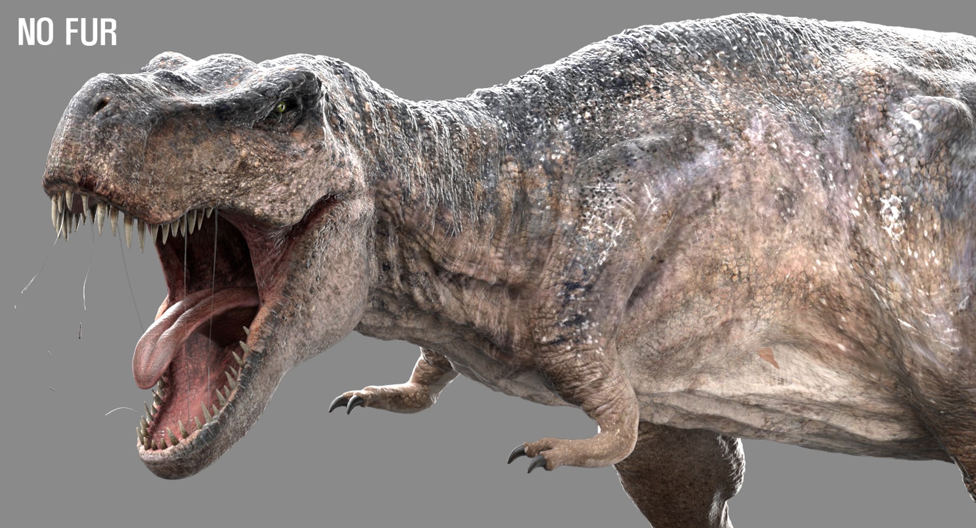 3D V-ray Rigged Rex - TurboSquid 1408312