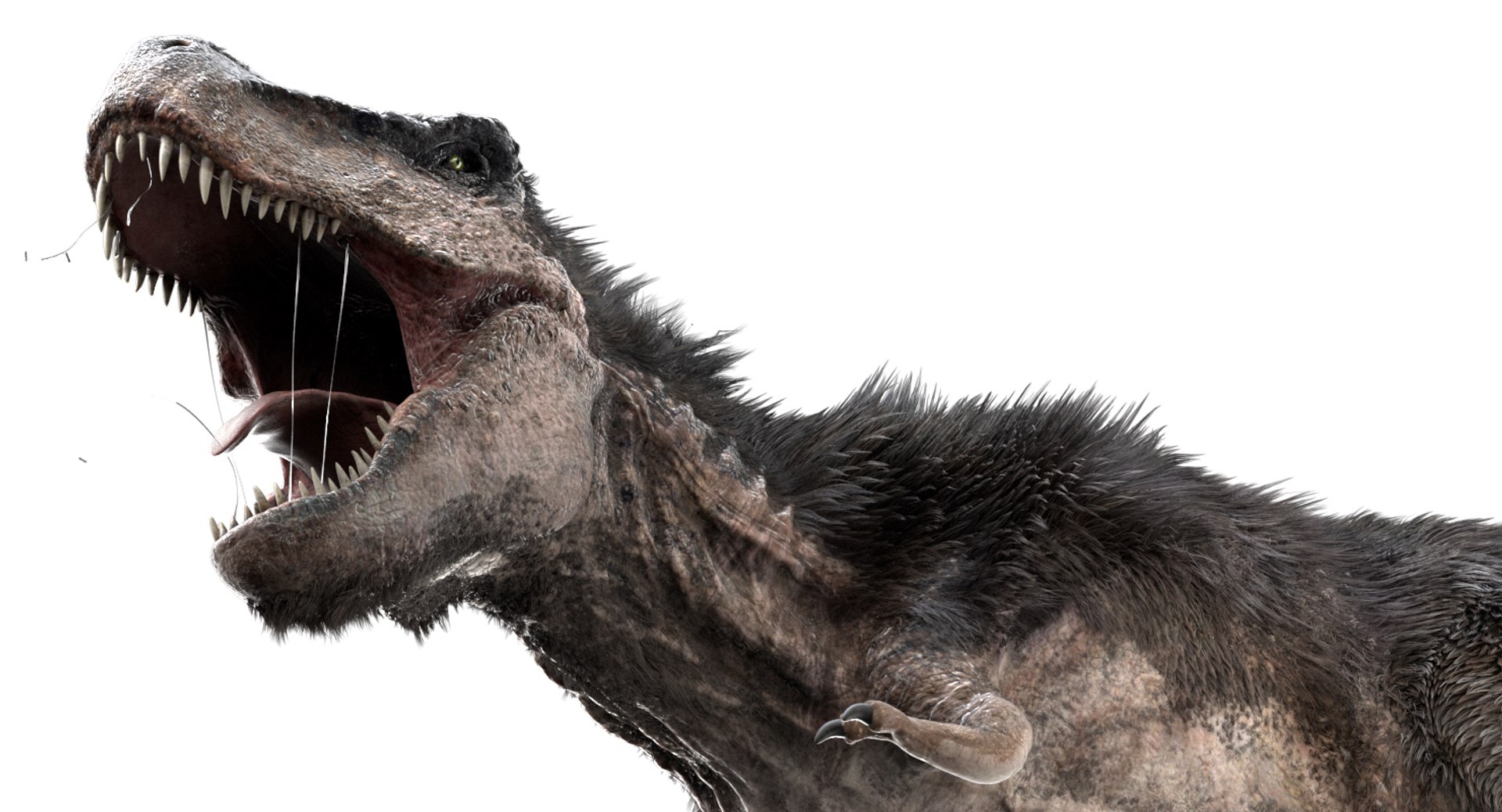 3D V-ray Rigged Rex - TurboSquid 1408312