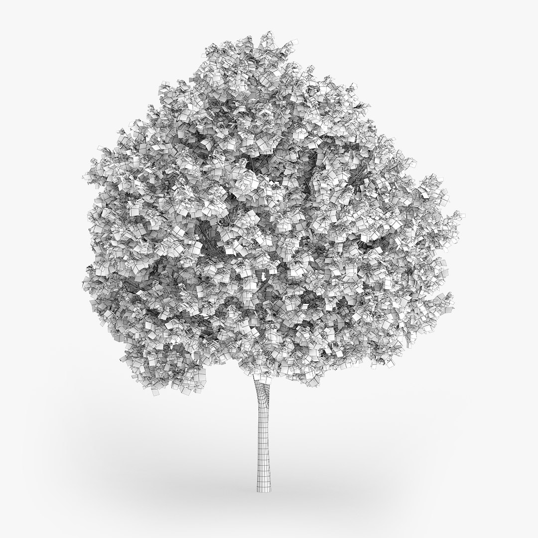 Greek Maple Trees 3d Max