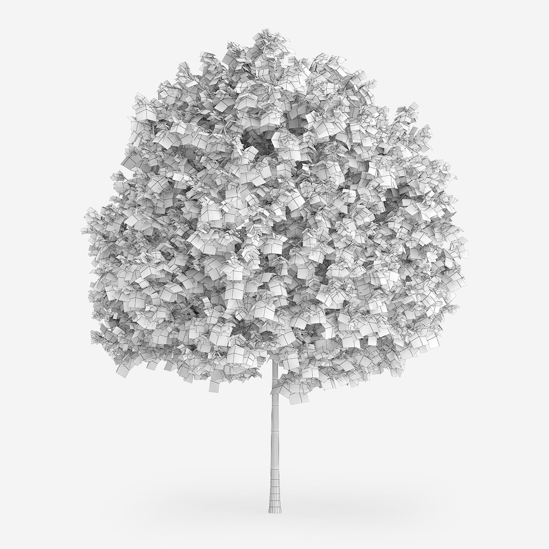 Greek Maple Trees 3d Max