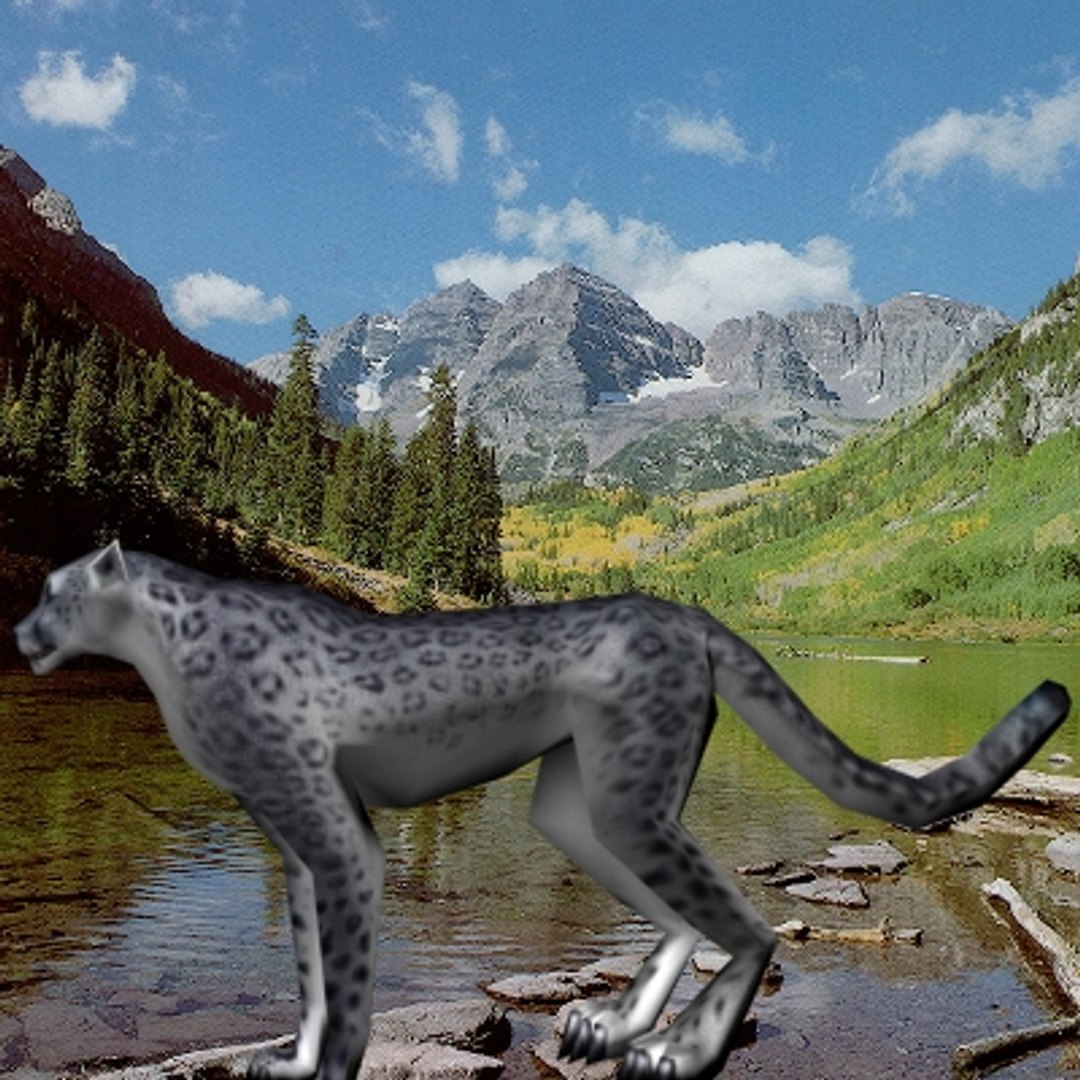 3d Model Snow Cheetah Leopard